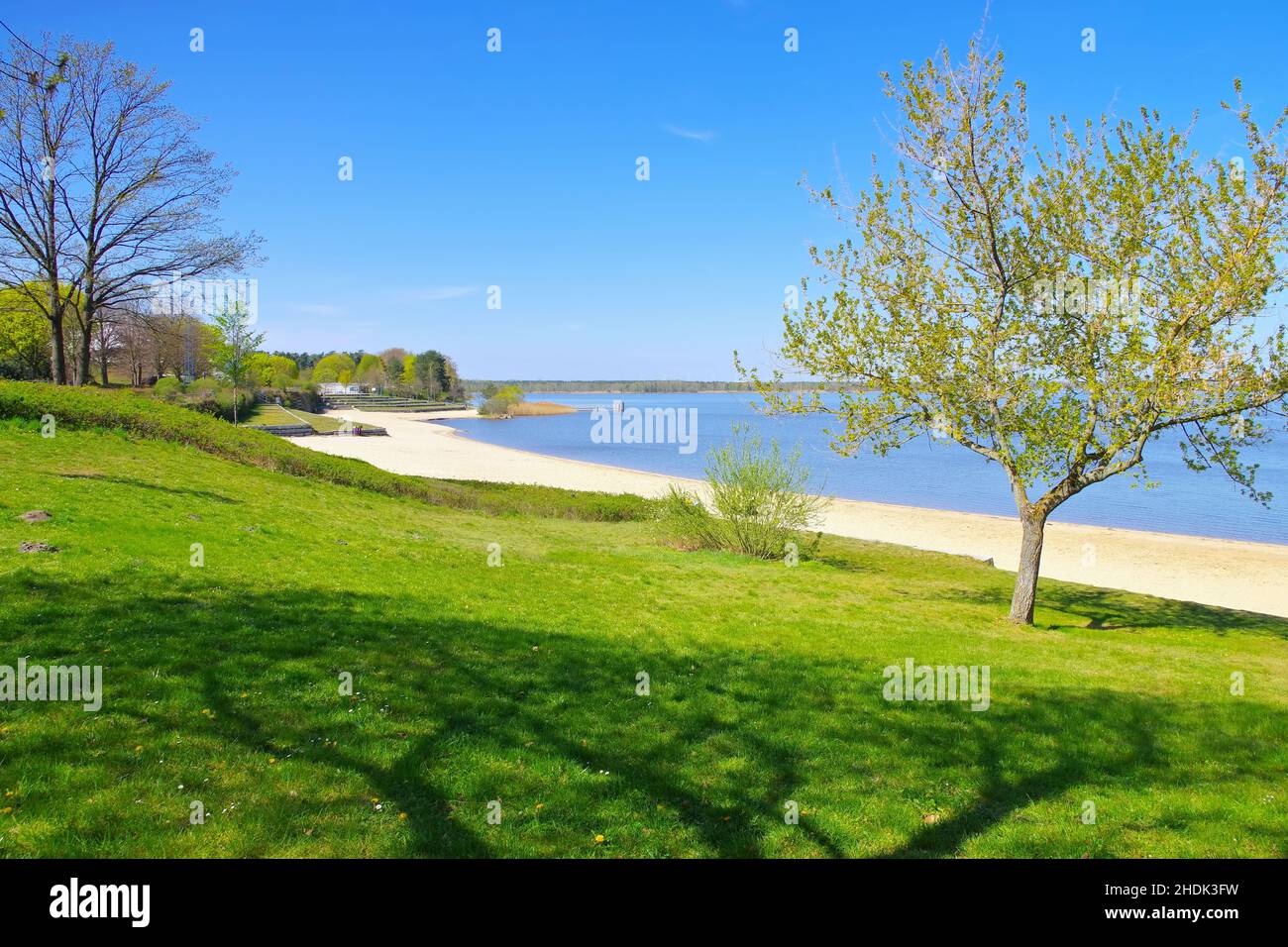 beach, Lake Senftenberg, beaches, seaside Stock Photo - Alamy