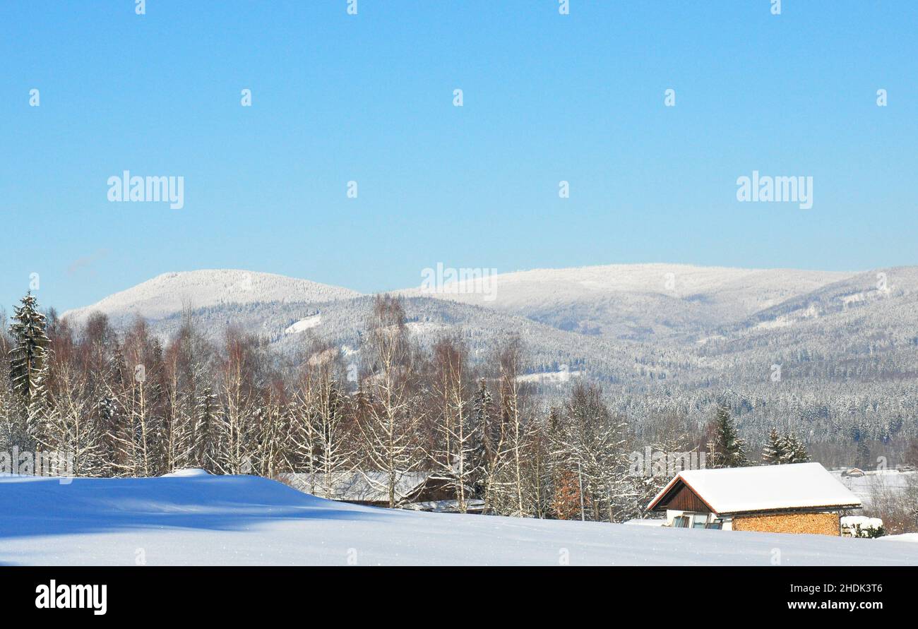 winter, bavarian forest, lackenberg, winters, bavarian forests Stock ...