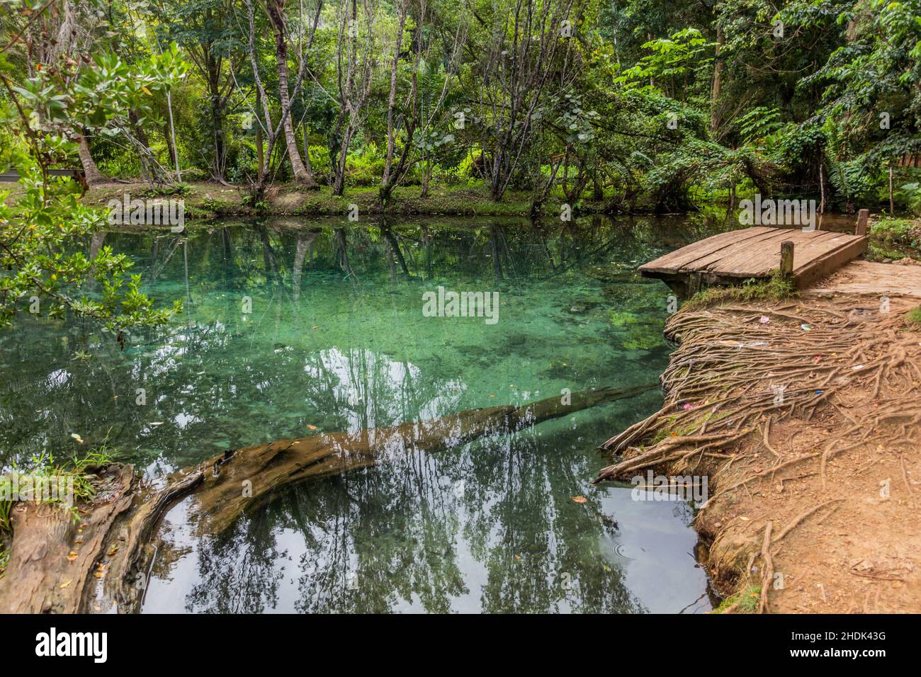 Pond in the National Park El Choco near Cabarete, Dominican Republic ...