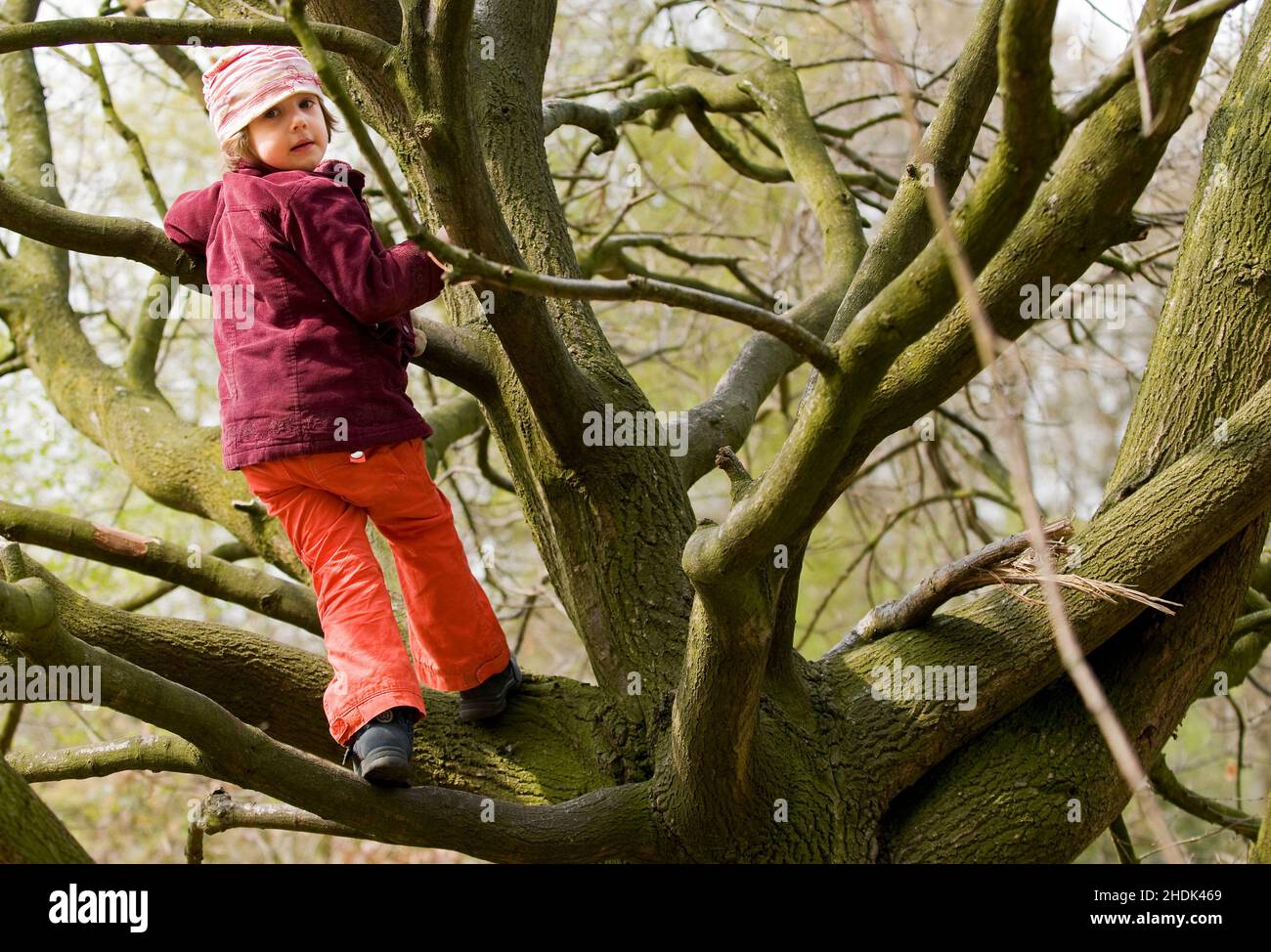 girl, climbing, tree climbing, girls Stock Photo - Alamy