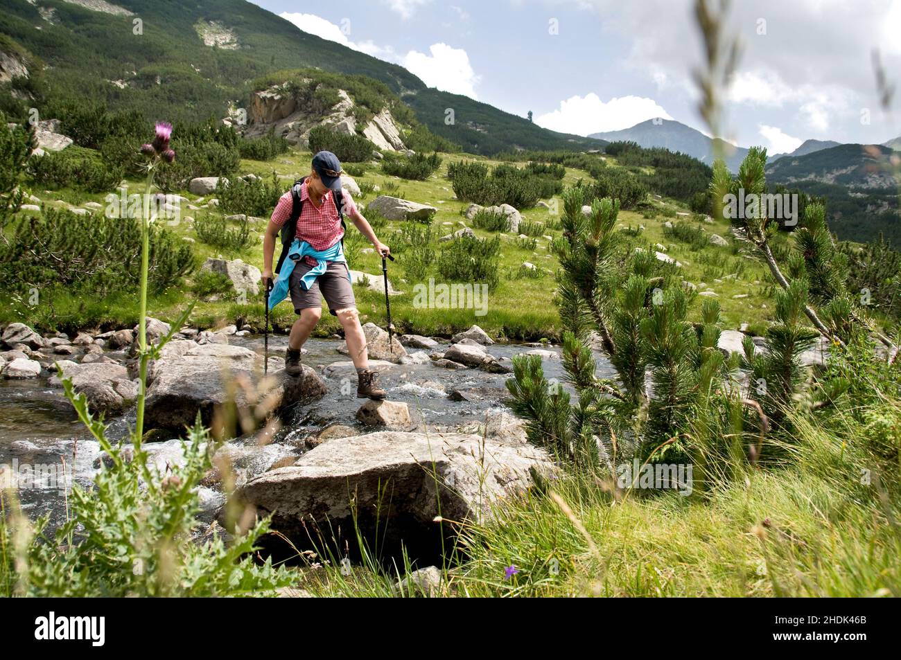 mountain stream, trekking, nordic walking, hiking, mountain streams ...