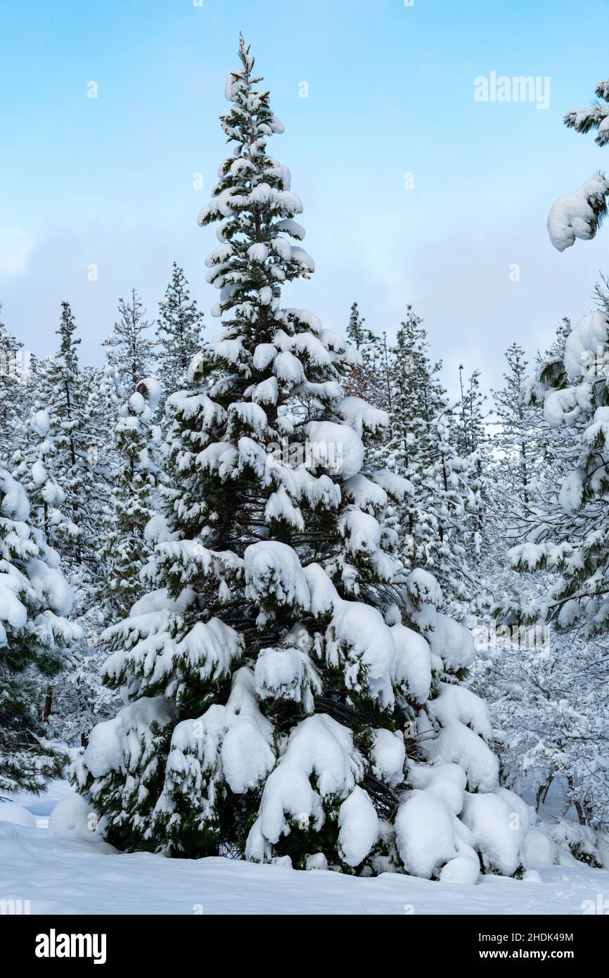 Country snow hi-res stock photography and images - Alamy