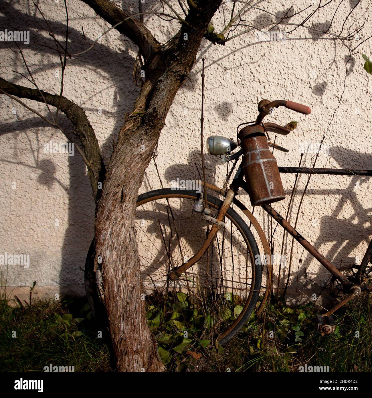 bicycle, rusted, bicycles, bike, rusties Stock Photo - Alamy
