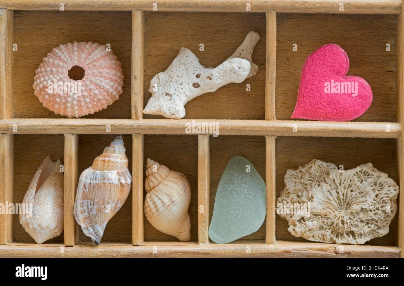 collecting, heart, case, hearts, cases Stock Photo - Alamy