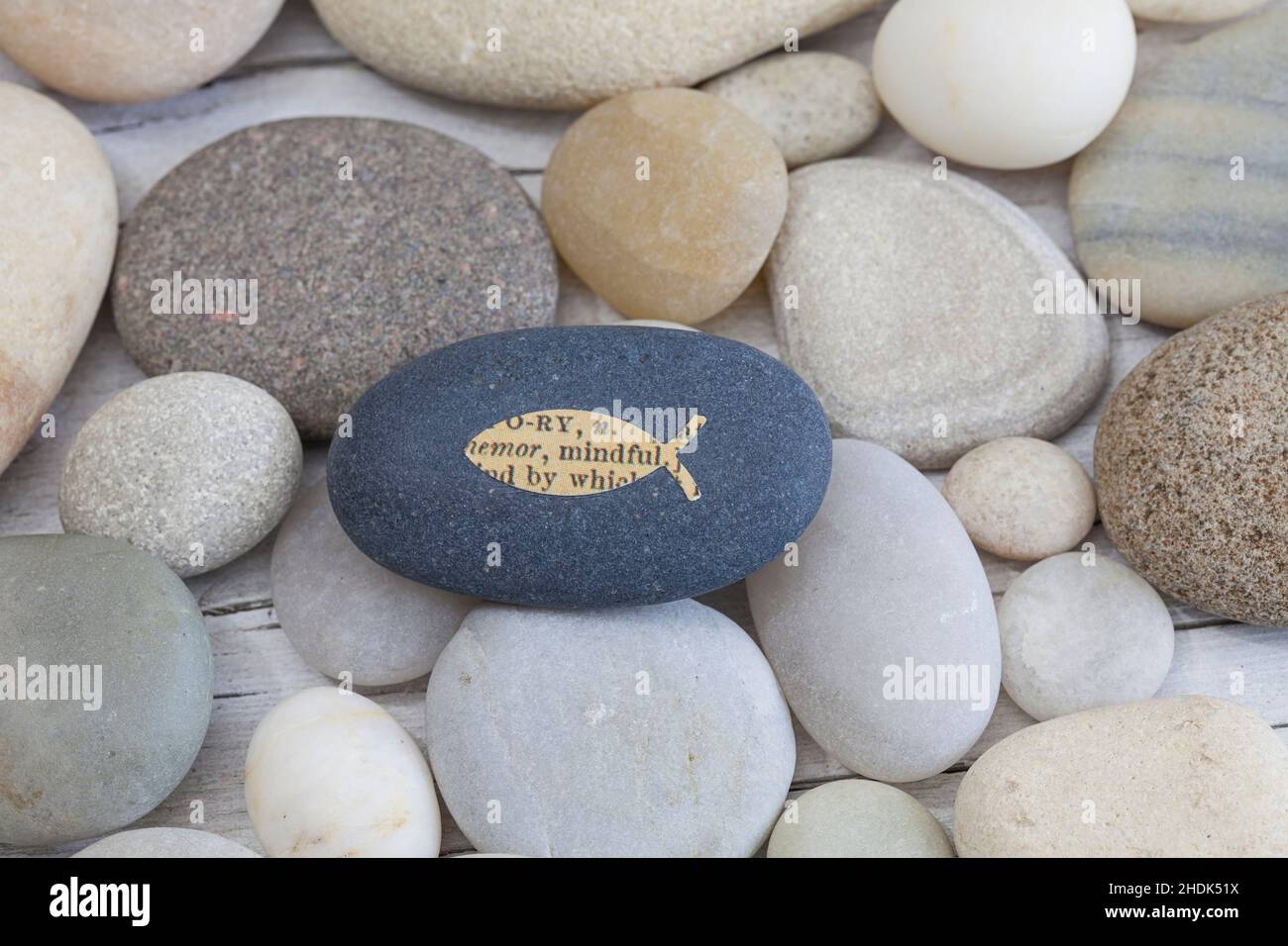 fish, pebble, fishes, pebbles Stock Photo - Alamy