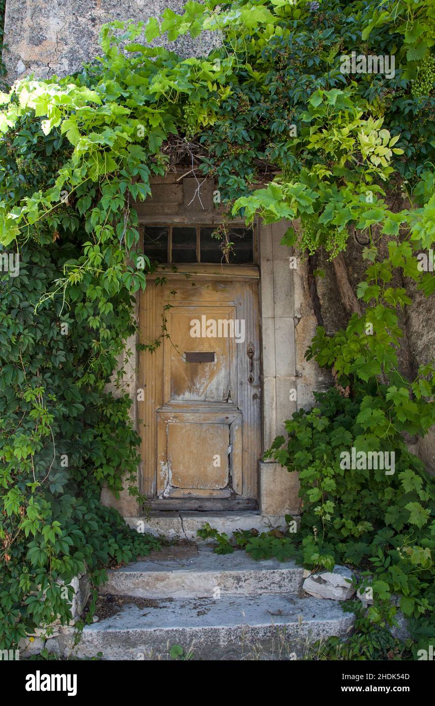 door, overgrown, doors, overgrowns Stock Photo - Alamy