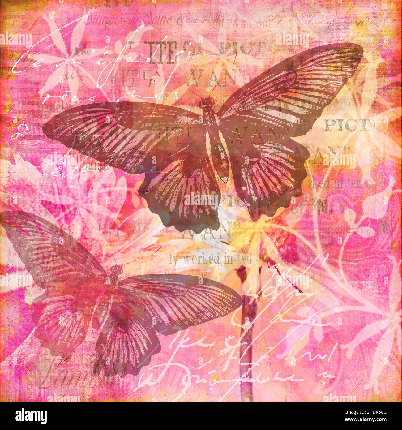 butterfly, flower pattern, collage, butterflies, flower patterns ...
