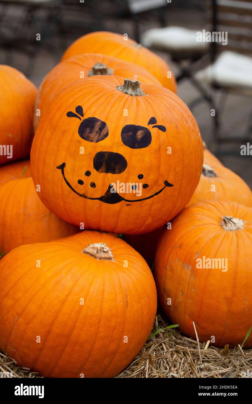 painted, face, squash, painteds, faces, squashs Stock Photo - Alamy