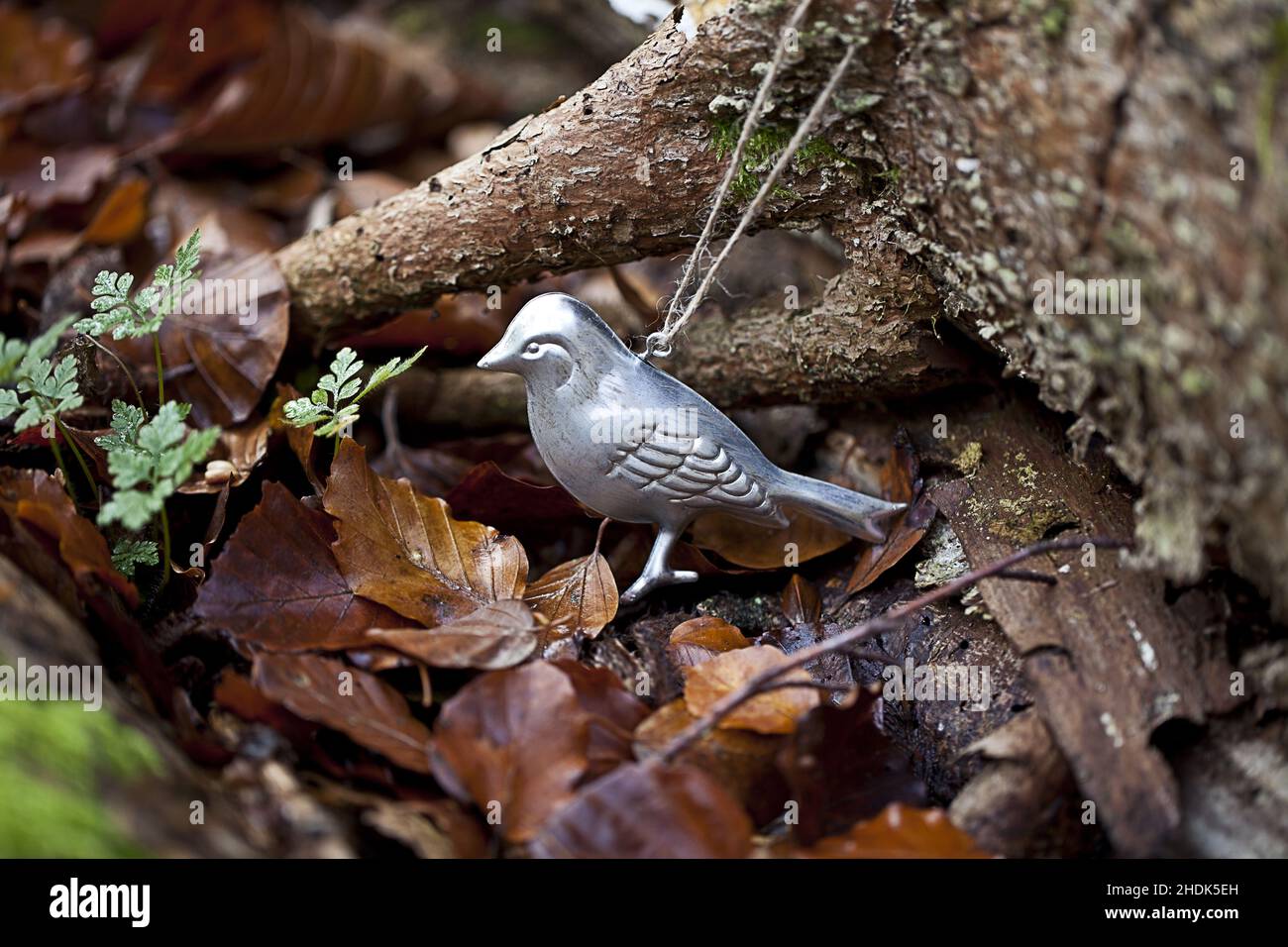bird, vehicle trailer, birds, vehicle trailers Stock Photo - Alamy