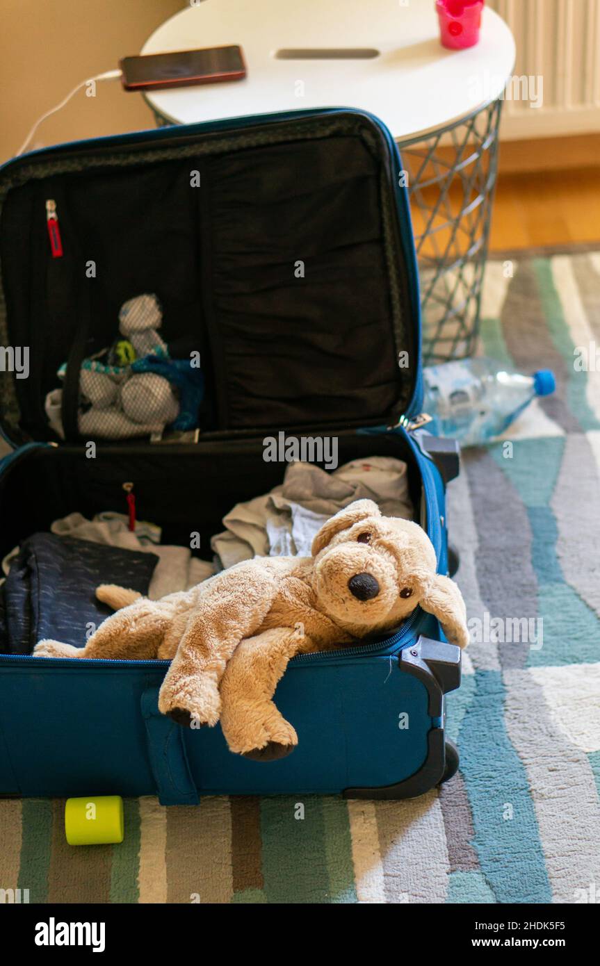 Vertical shot of an open suitcase with a plush dog toy Stock Photo - Alamy