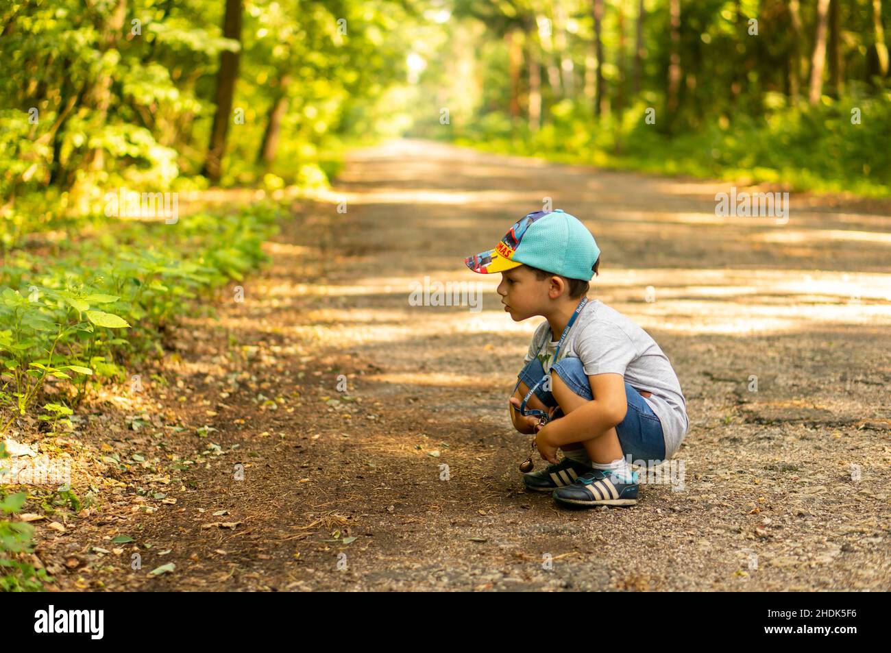 Young male child kneeling on a trail in a forest Stock Photo - Alamy