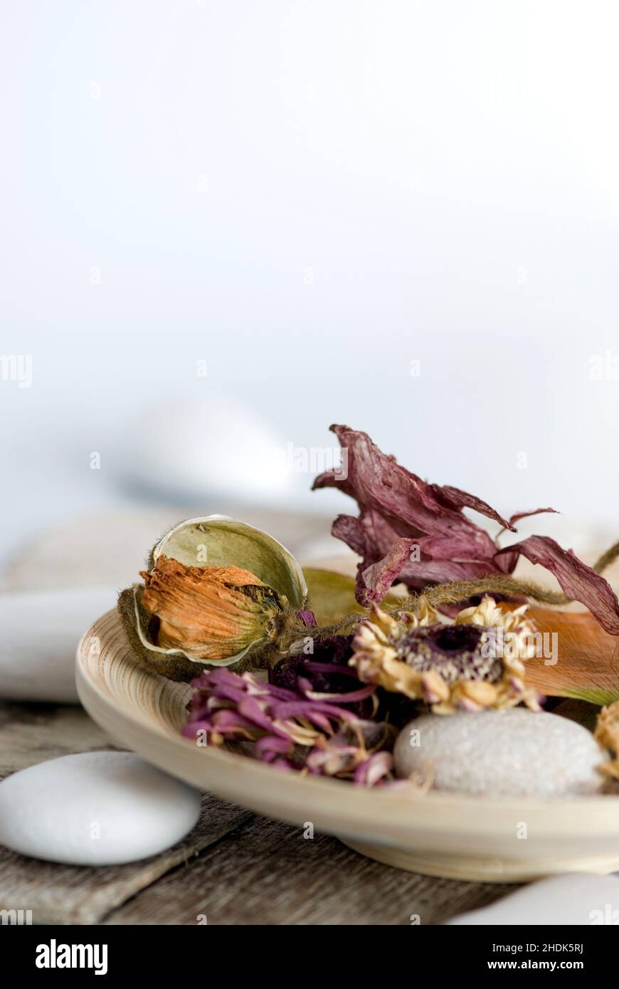 pebble, poppies, dried flower, pebbles, poppy, dried flowers Stock ...