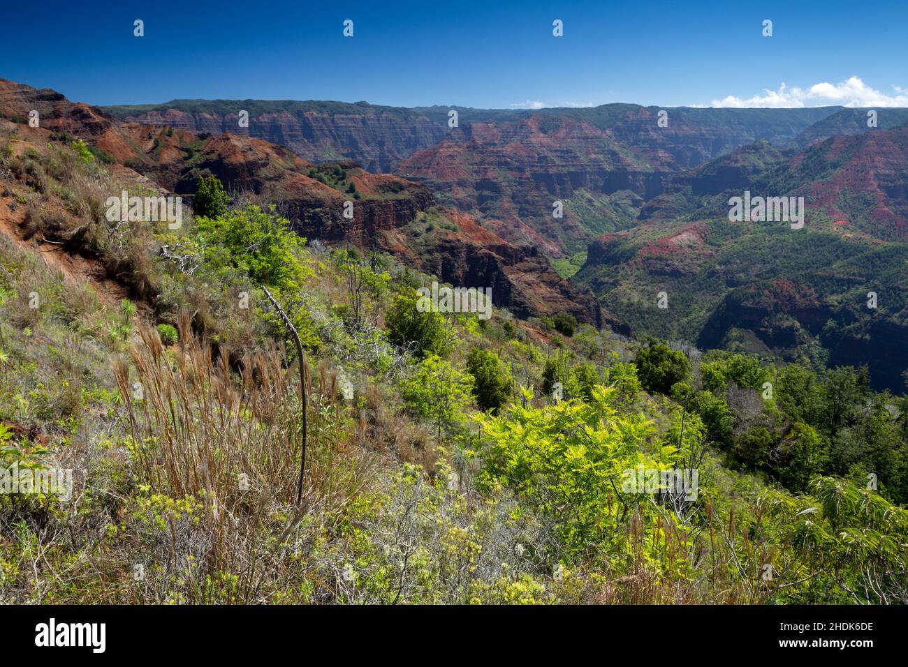landscape, hawaii islands, waimea canyon, landscapes, rural, rural ...