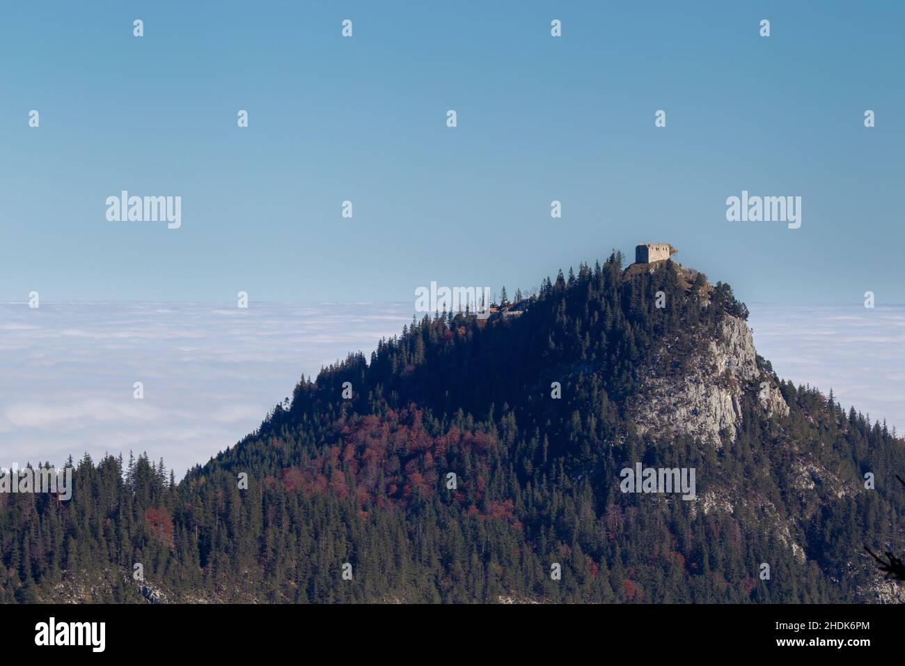 allgau, falkenstein, ruins, allgaus, falkensteins, ruin Stock Photo - Alamy