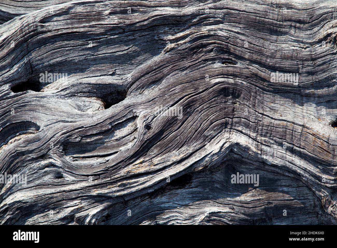 wood, structure, woodland, woodlands, woods, structures Stock Photo - Alamy