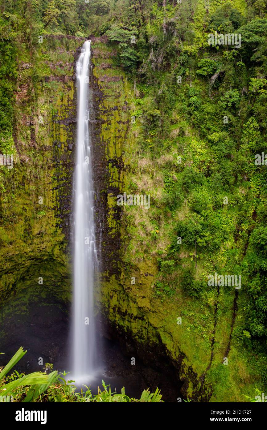 waterfall, Akaka Falls, cascade, waterfalls Stock Photo - Alamy