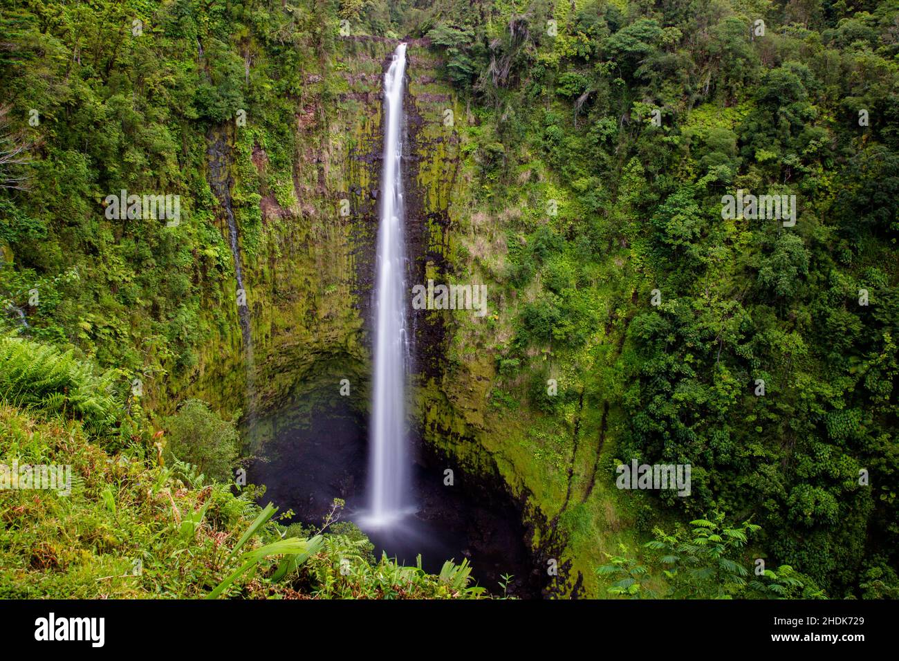 waterfall, Akaka Falls, cascade, waterfalls Stock Photo - Alamy