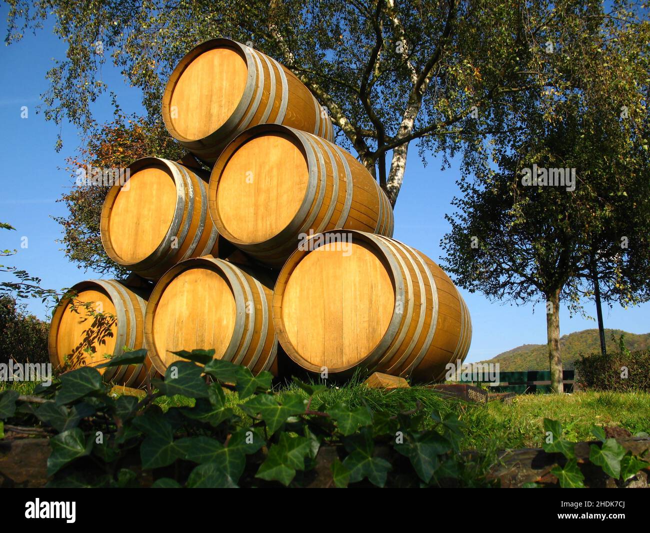 wine barrel, wine barrels Stock Photo - Alamy
