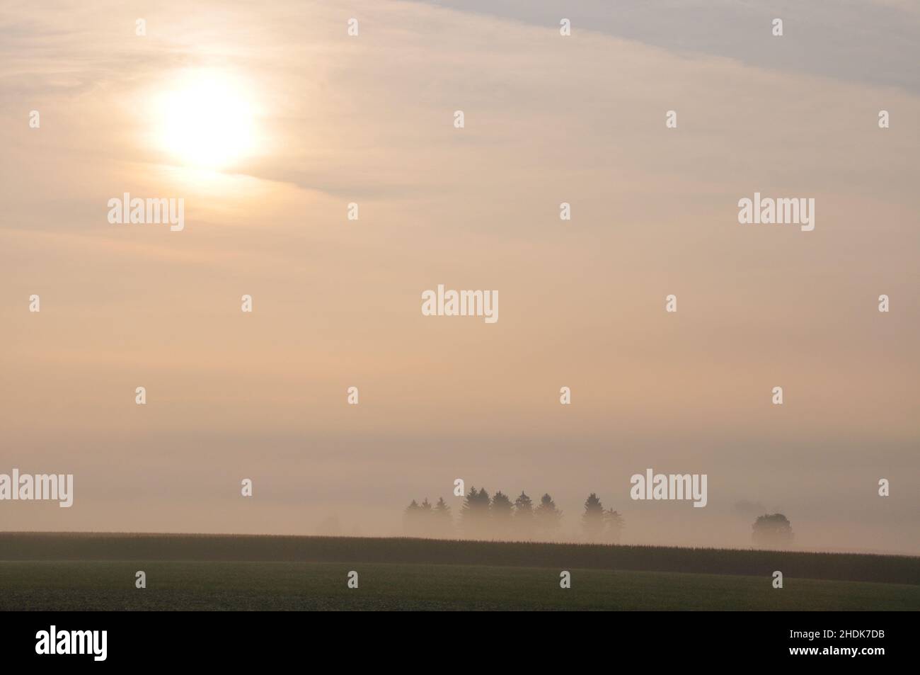 landscape, fog, landscapes, rural, rural scene, scene, scenery, scenes ...