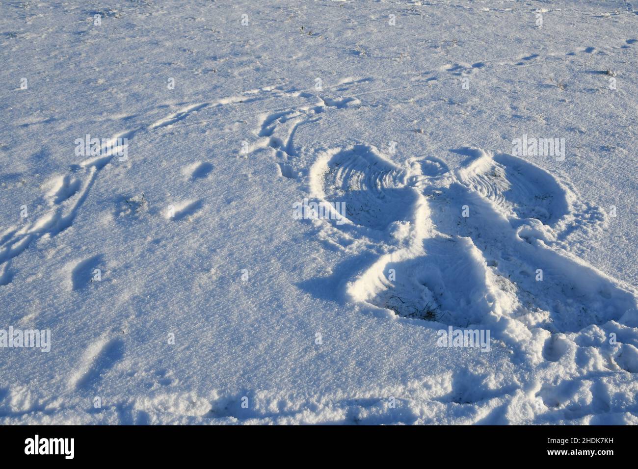 snow, snow angels, snowy, snow angel Stock Photo - Alamy