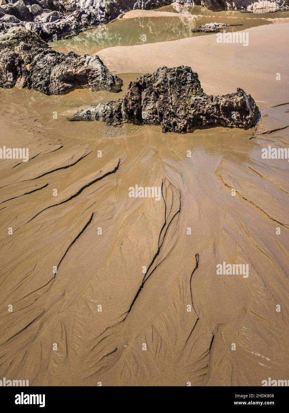 Muds hi-res stock photography and images - Alamy