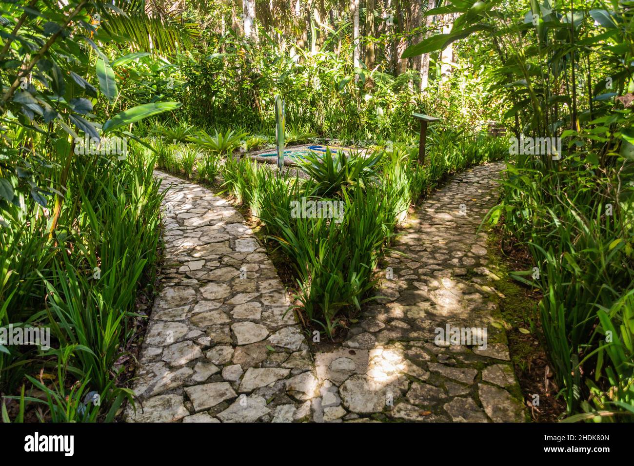 Paths in Botanical gardens at the Pico Isabel de Torres mountain above ...