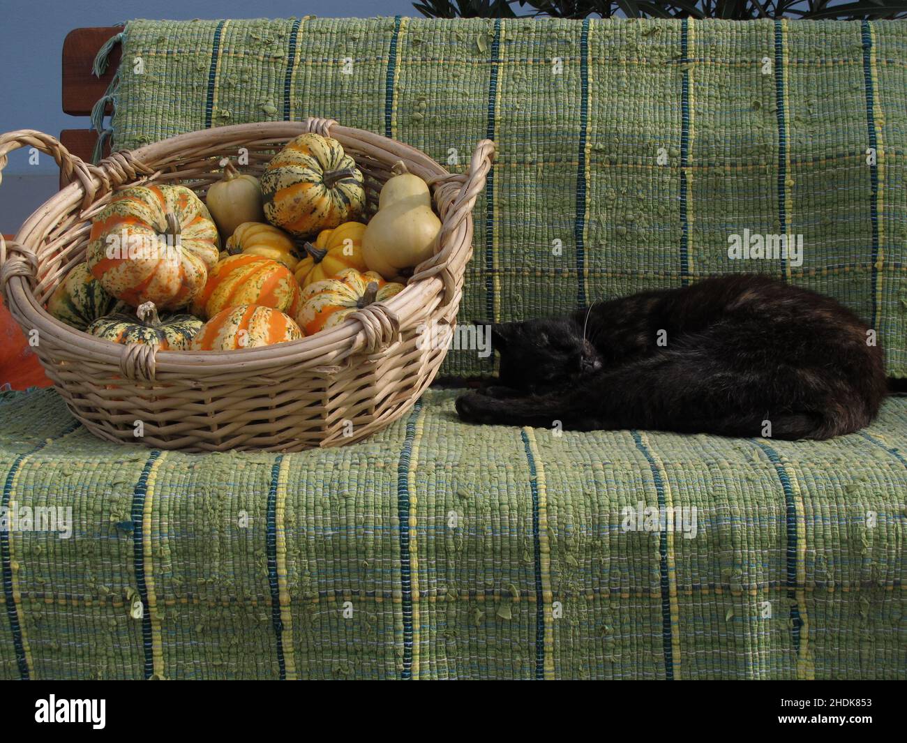 Carnival scenes hi-res stock photography and images - Alamy