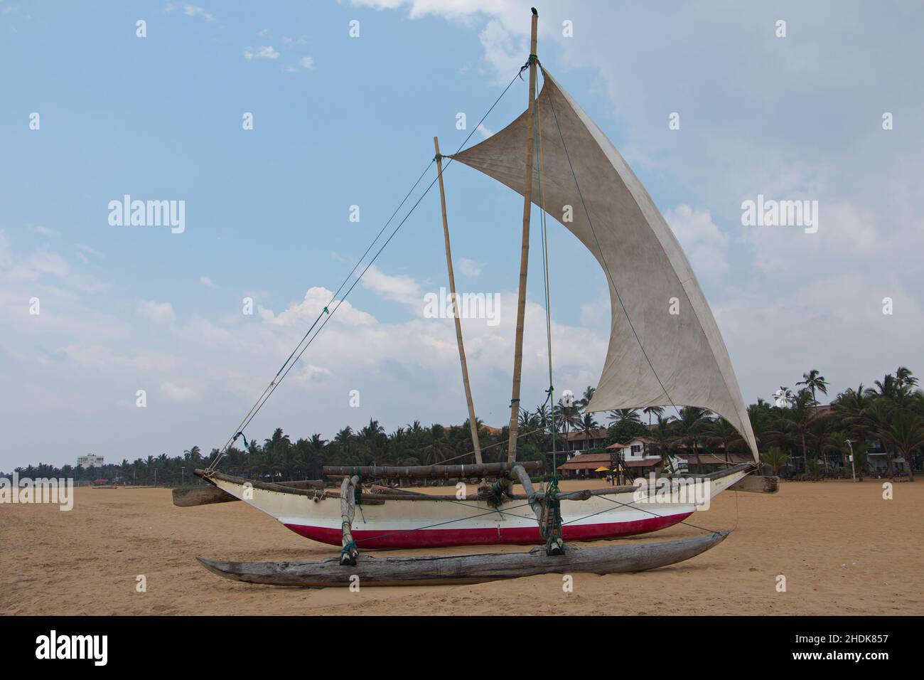 beach, sailboat, negombo, beaches, seaside, sailboats, sailing, sailing ...