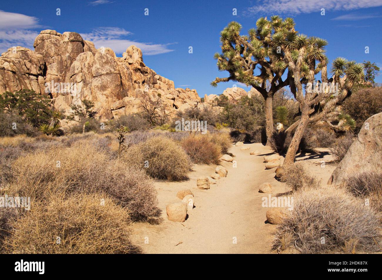 trail, joshua tree national park, trails, joshua tree national parks ...