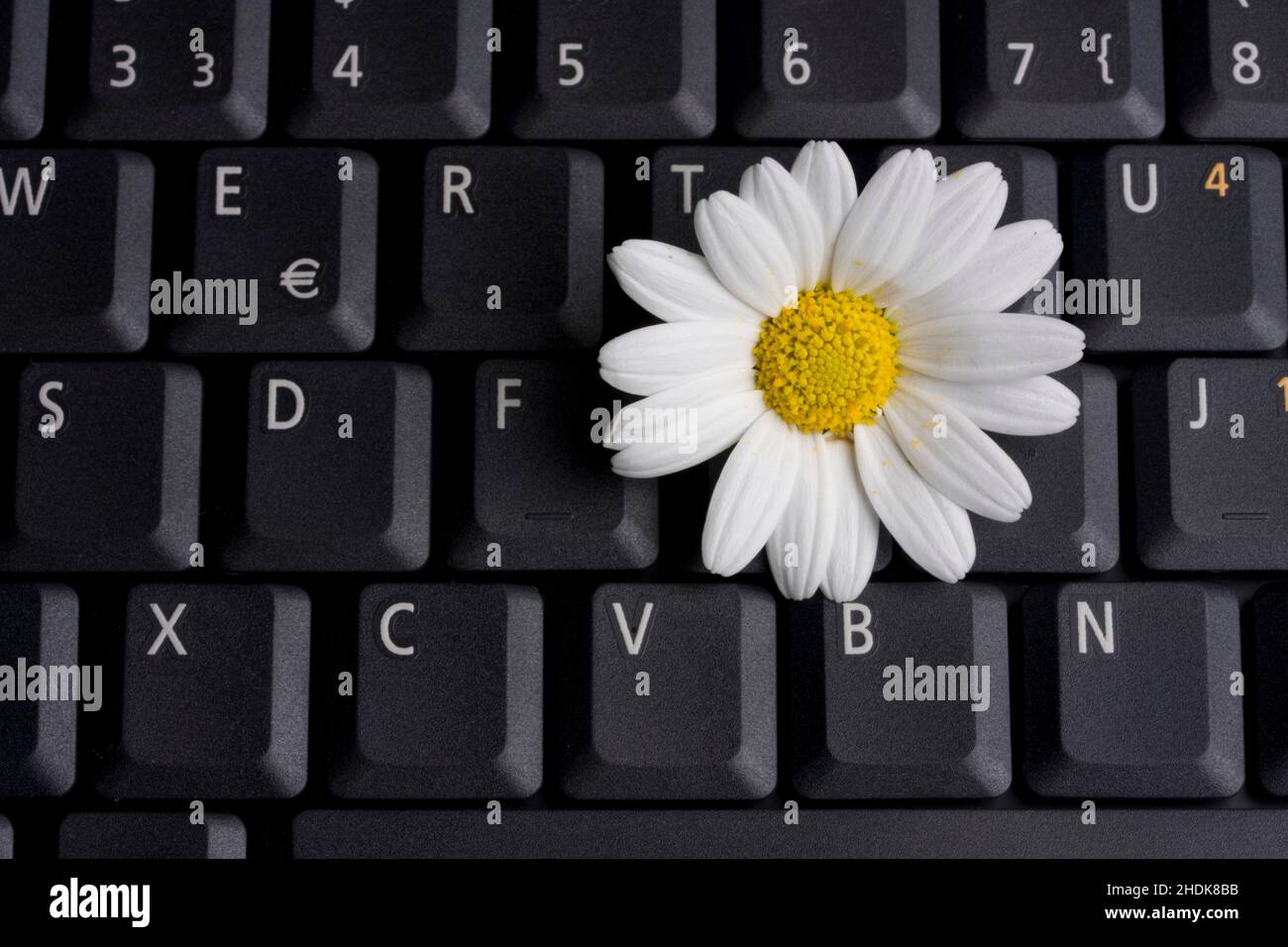 Keyboard buttons computers laptops hi-res stock photography and images ...