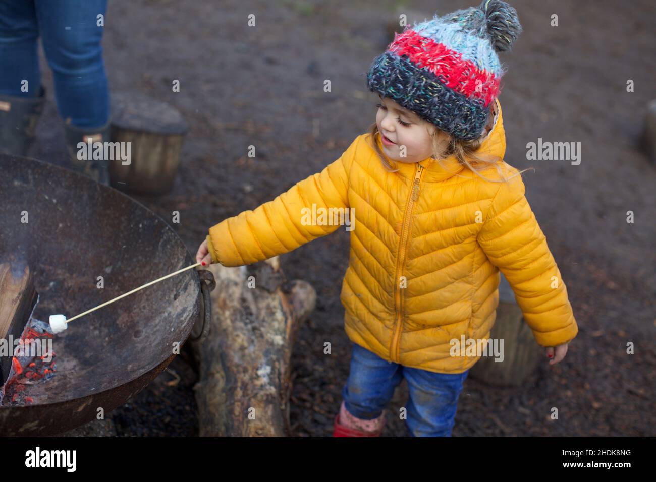 Kids cooking marshmallows over an open fire, UK Stock Photo - Alamy