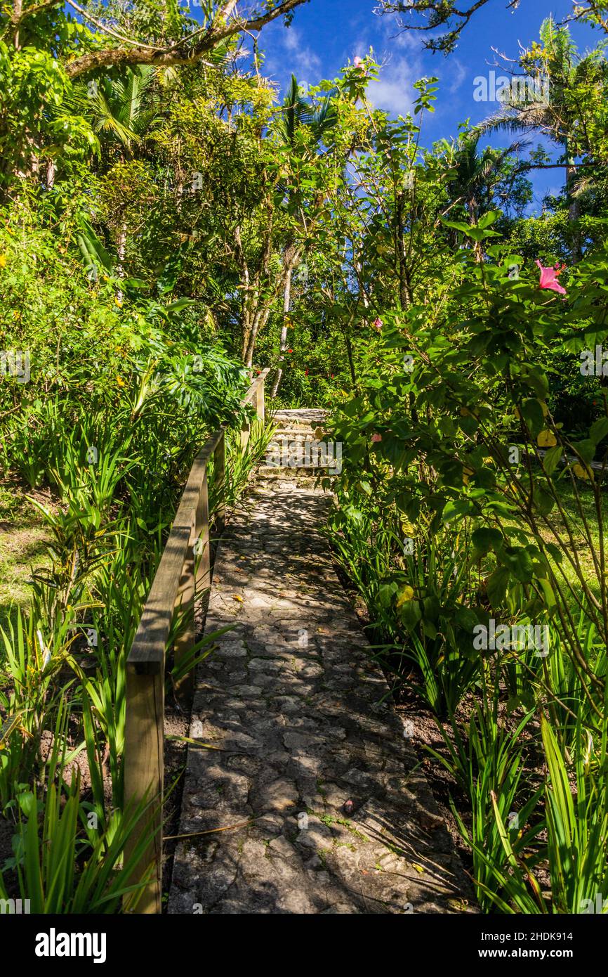 Path in Botanical gardens at the Pico Isabel de Torres mountain above ...