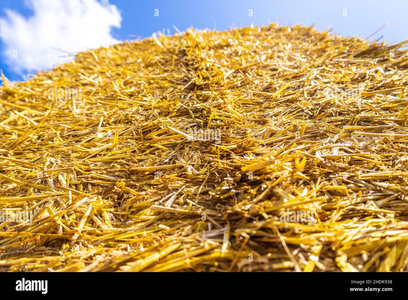 A large hay bail that has been harvested in a farmer's field, in the ...