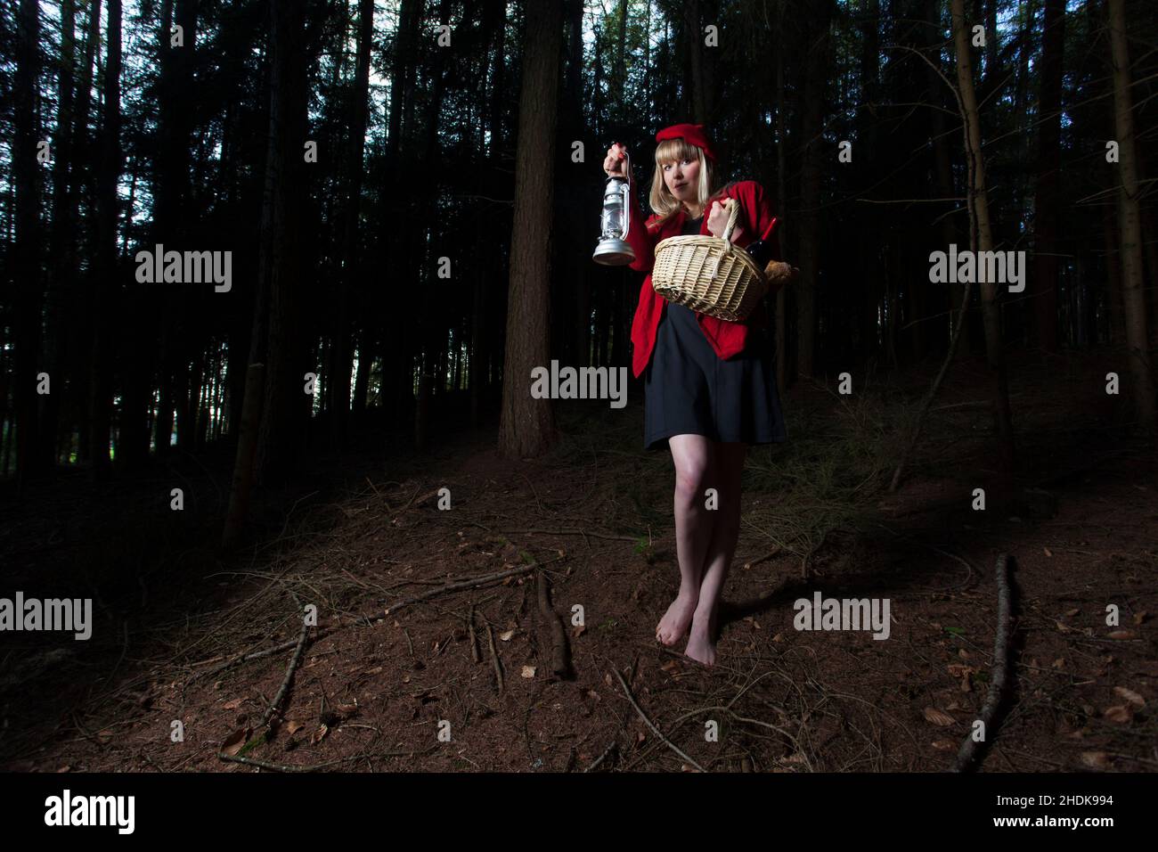 forest, little red riding hood, forests, wood, woodland, woods, little ...