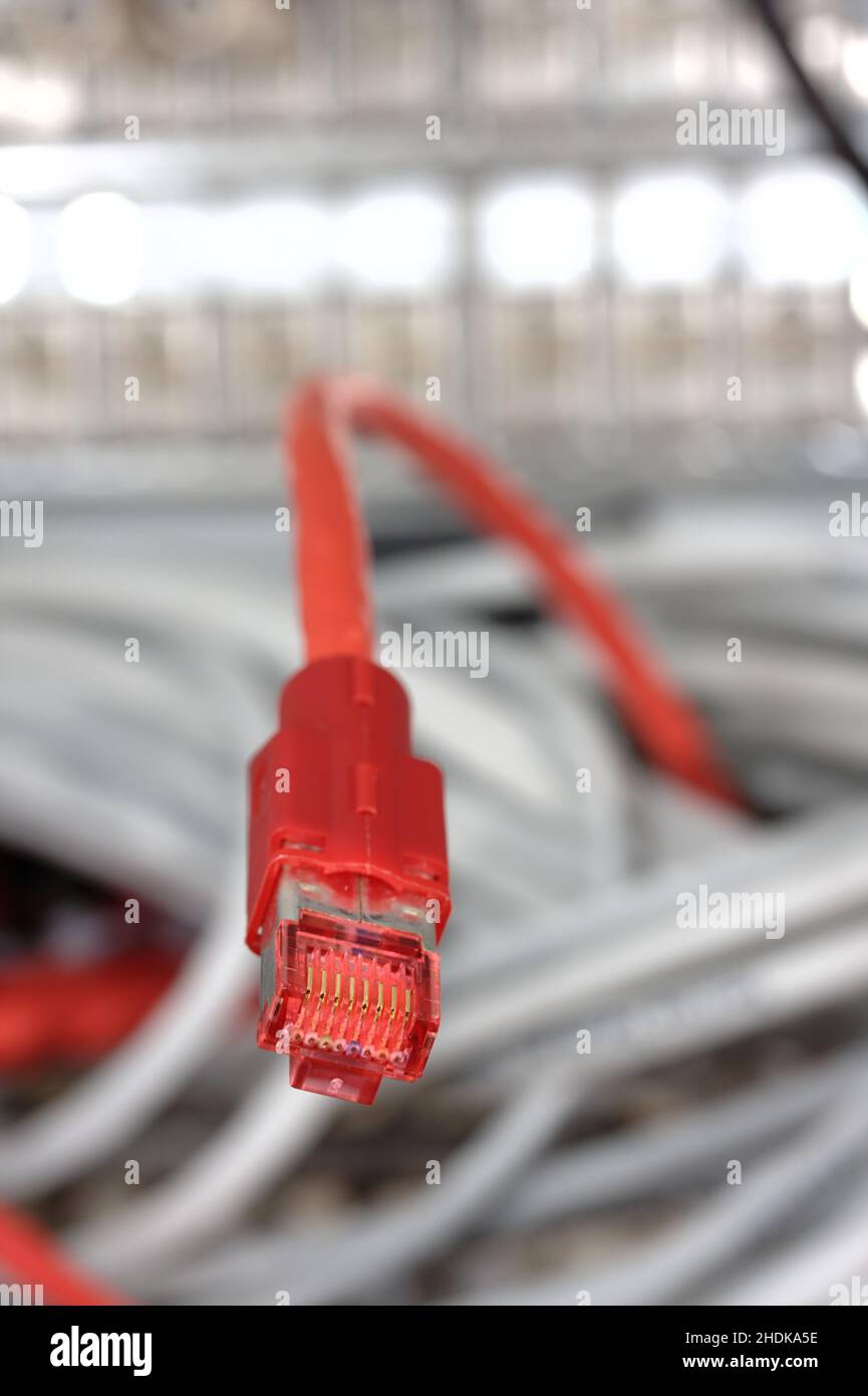plug, cables, plugs, cable Stock Photo - Alamy