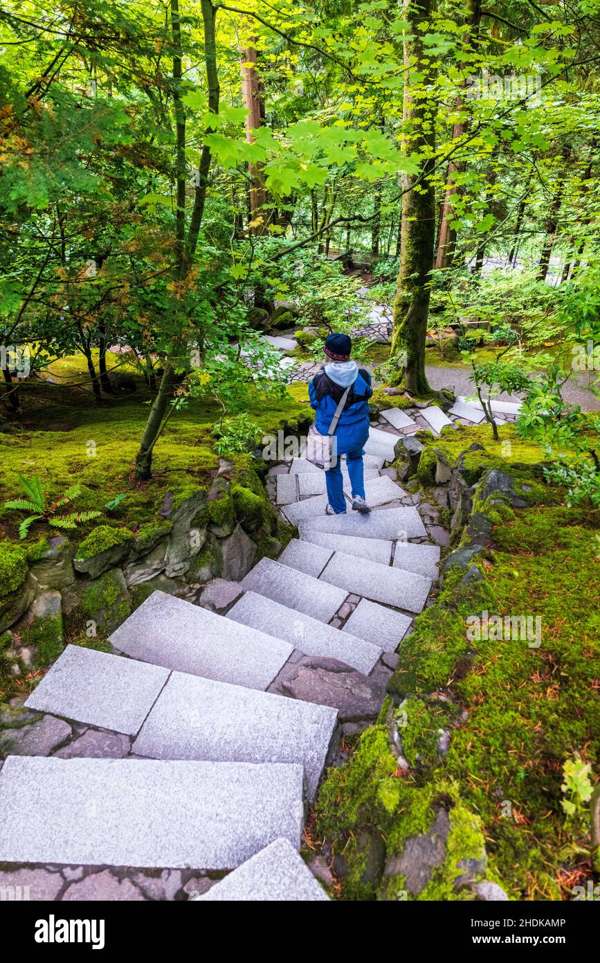 Tourist exploring hand crafted stone steps; Portland Japanese Gardens ...