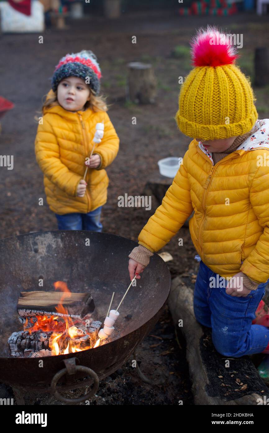 Kids cooking marshmallows over an open fire, UK Stock Photo - Alamy
