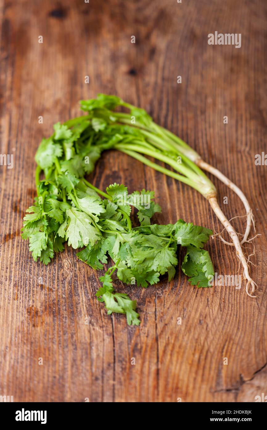 Cilantros hi-res stock photography and images - Alamy