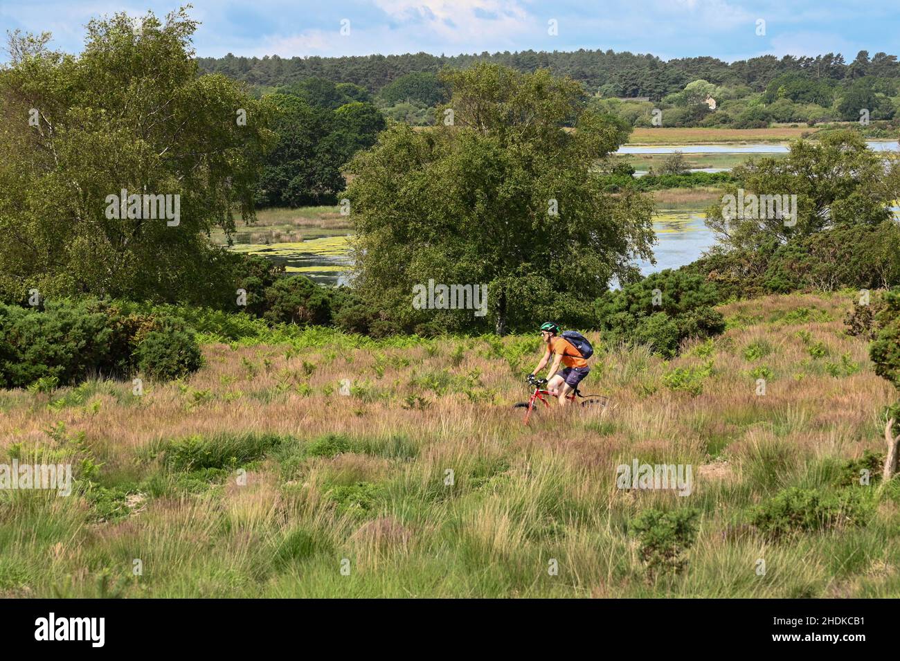 Cycling through grass hi-res stock photography and images - Alamy