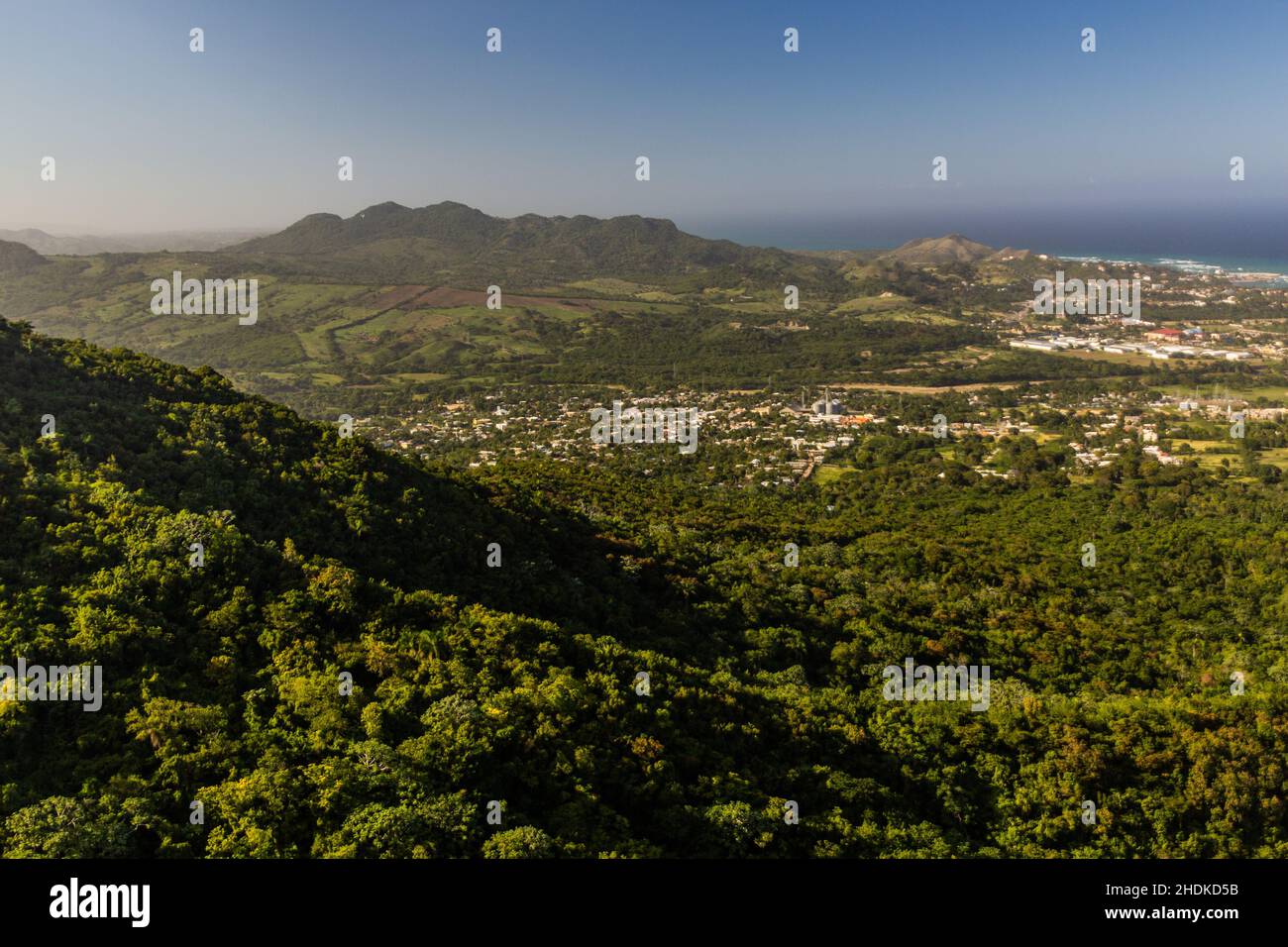 Forest of Isabel De Torres National Park near Puerto Plata, Dominican ...