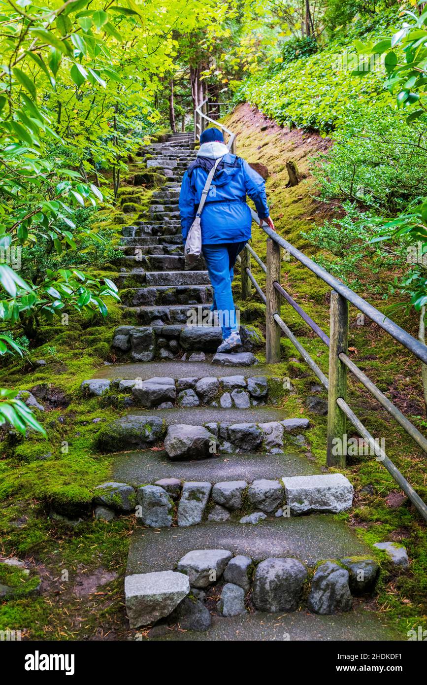 Tourist exploring hand crafted stone steps; Portland Japanese Gardens ...