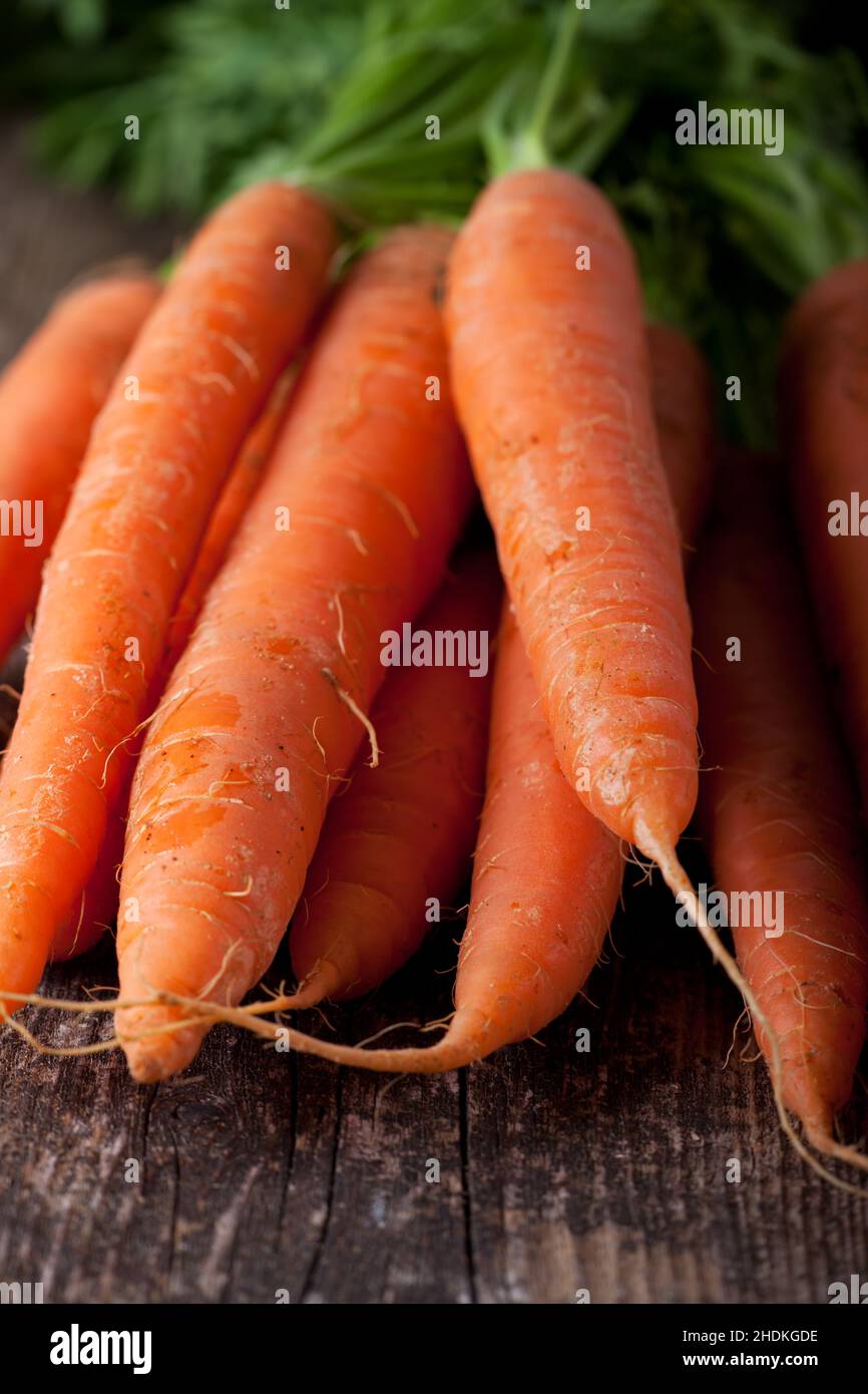 carrots, bunch, carrot, bunchs Stock Photo - Alamy
