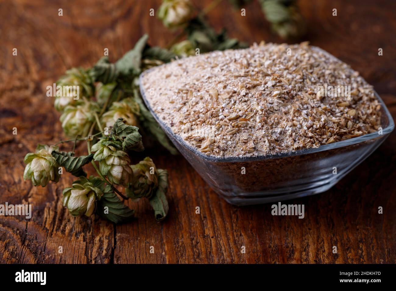 hop, beer production, malt, hops, beer productions, malts Stock Photo ...