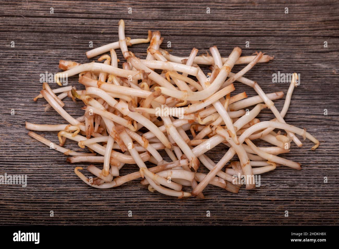 Hop sprouts hi-res stock photography and images - Alamy