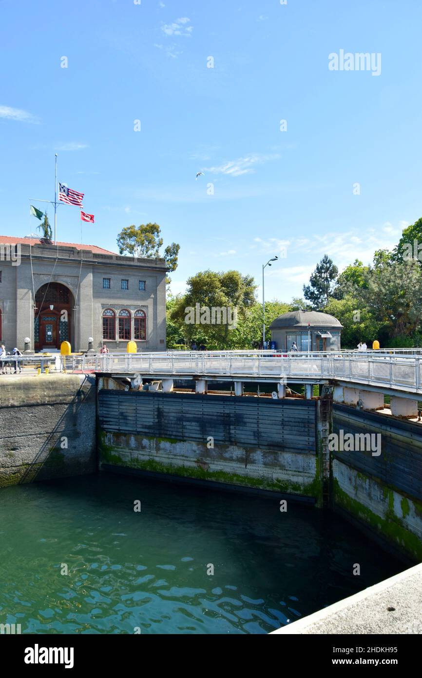 The very active Ballard Locks between Lake Union and Puget Sound in ...