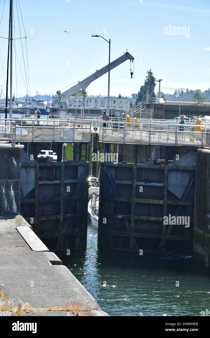The very active Ballard Locks between Lake Union and Puget Sound in ...