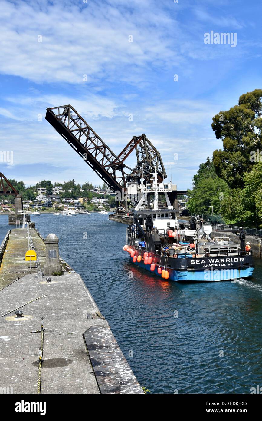 The very active Ballard Locks between Lake Union and Puget Sound in ...
