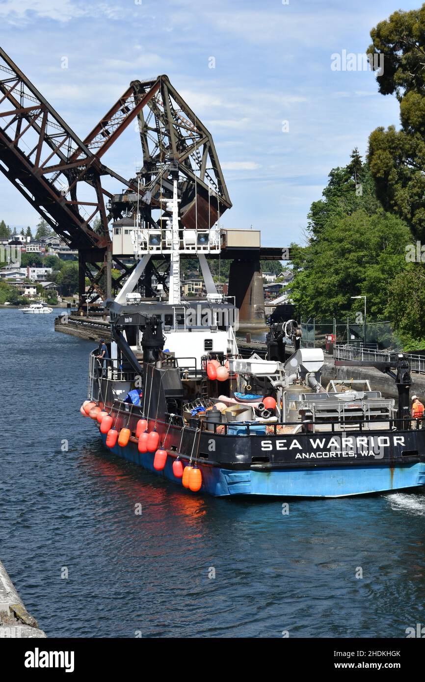 The very active Ballard Locks between Lake Union and Puget Sound in ...