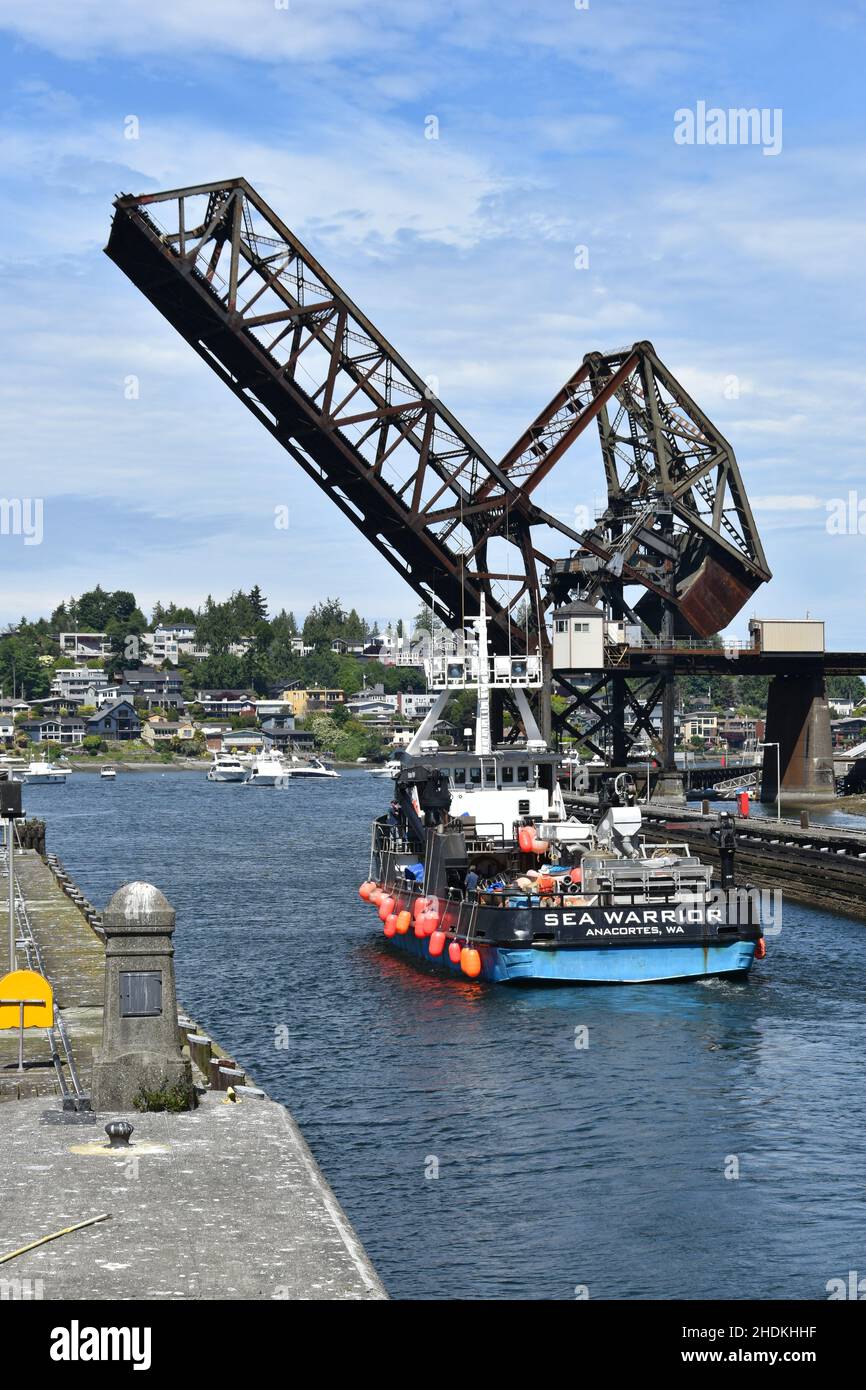 The very active Ballard Locks between Lake Union and Puget Sound in ...
