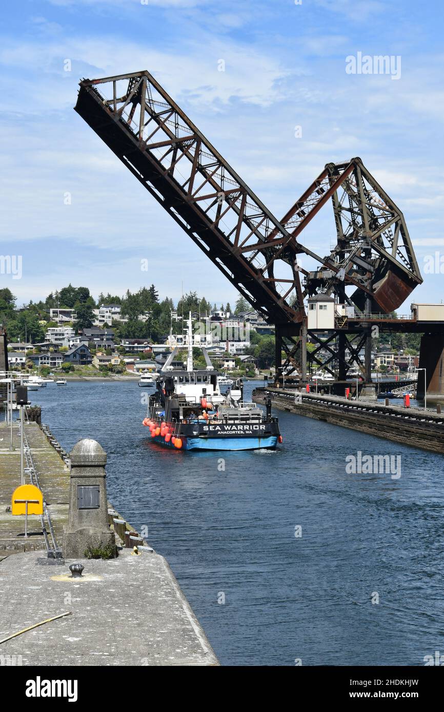 The very active Ballard Locks between Lake Union and Puget Sound in ...